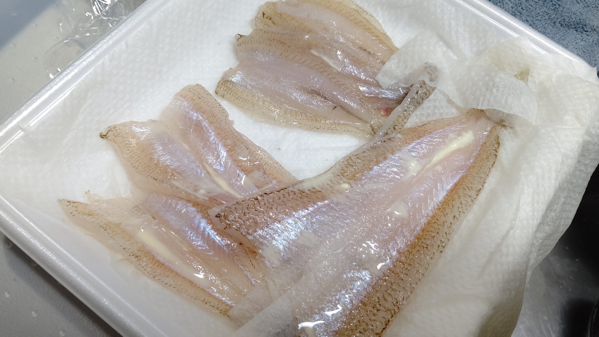 夏だ!!キス(イシモチ)釣りに行こう【鹿島灘／茨城】 | めいのまじ釣り